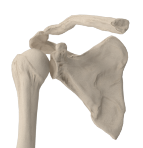 Sternoclavicular Joint Dislocation | Dr. Anastasios Lampropoulos